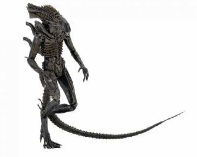 NECA Aliens 7 Inches Scale Action Figure Series 11 Defiance Alien | Toy ...