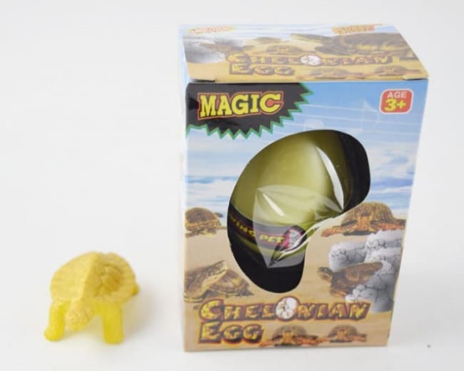 Magic Hatching Animal Egg - Turtle | Toy Game Shop